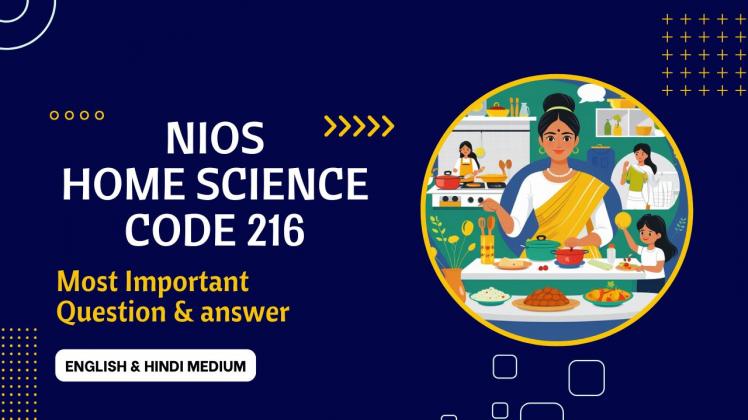 NIOS Painting Class 10 Code 225 | John Academy